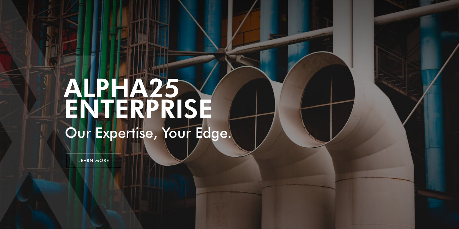Alpha25 Enterprise – Our Expertise, Your Edge