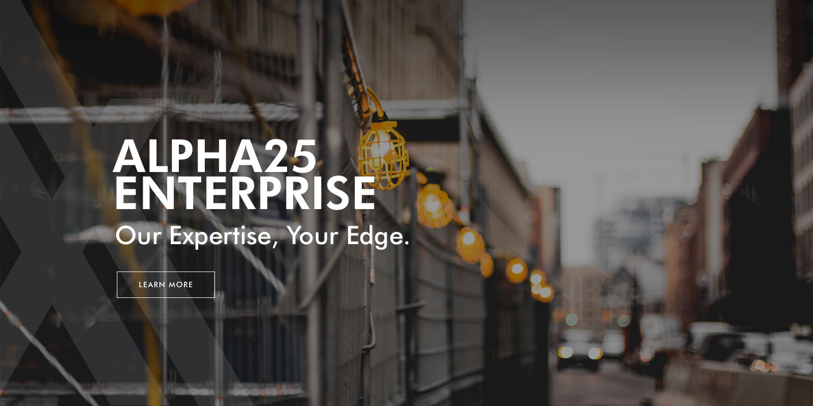 Alpha25 Enterprise – Our Expertise, Your Edge