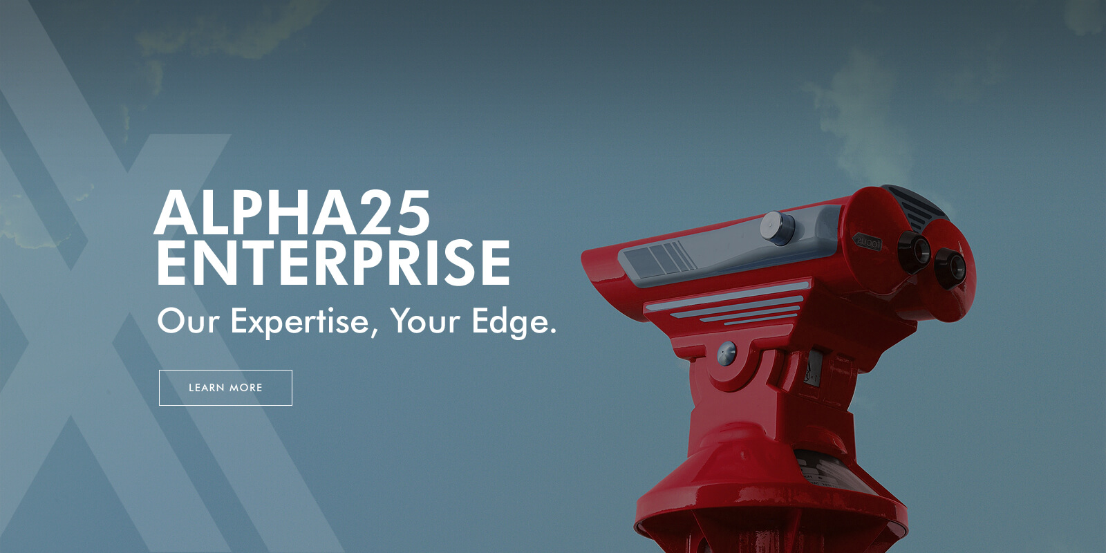 Alpha25 Enterprise – Our Expertise, Your Edge